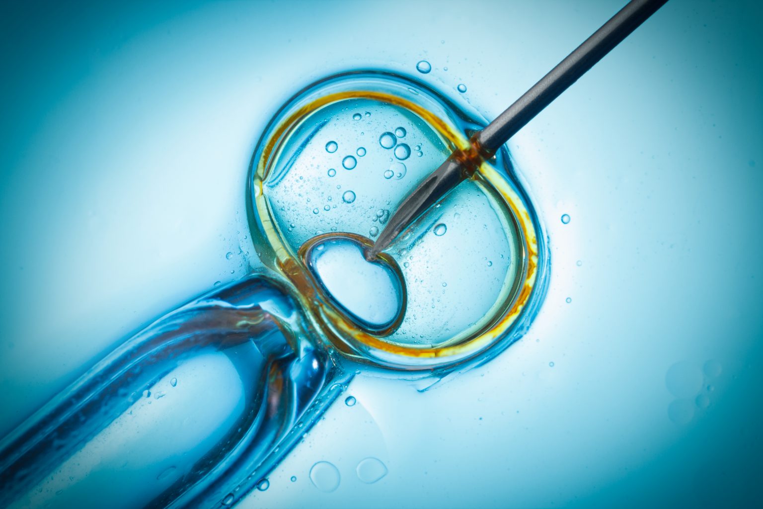 New AI breakthrough in IVF embryo assessment