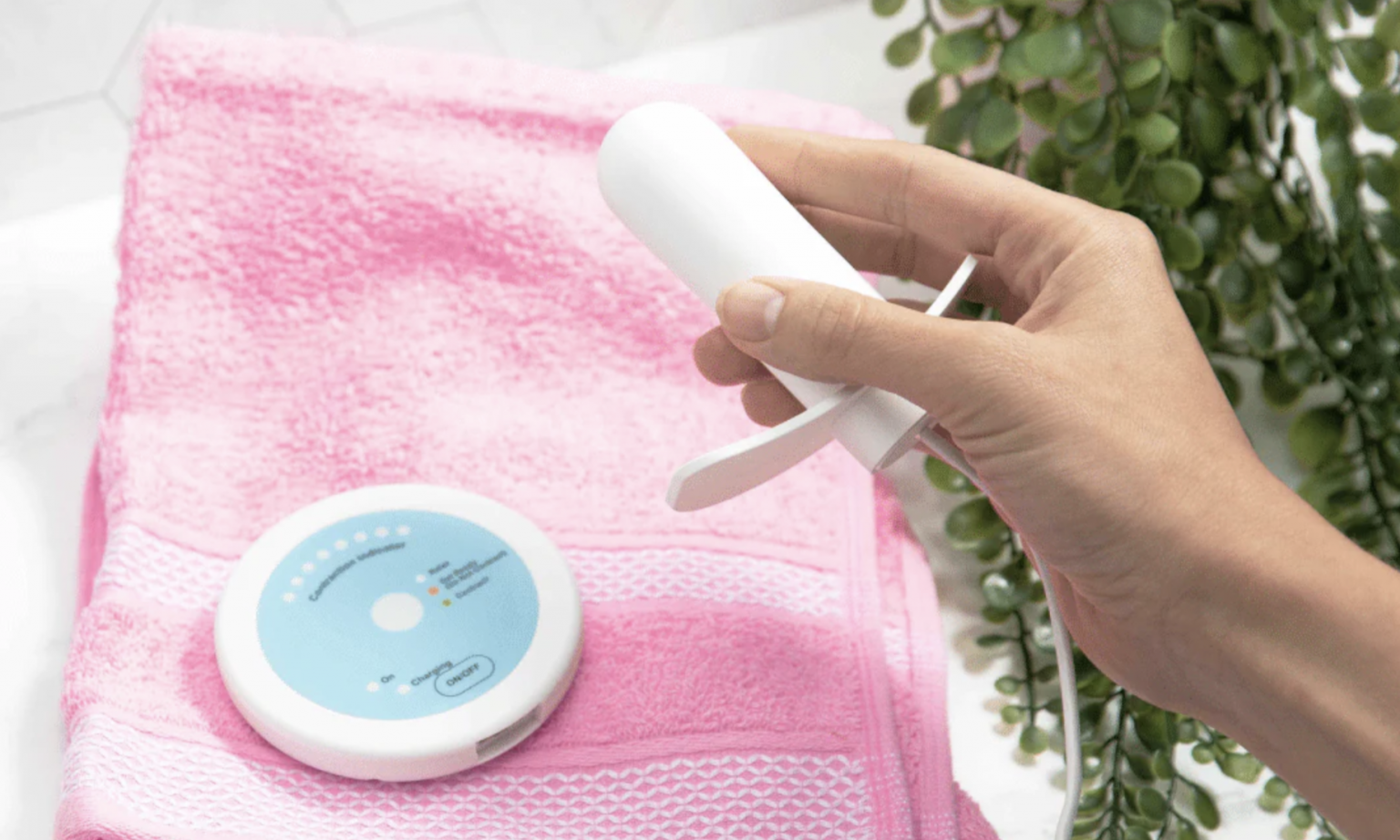 Sword Health launches bloom: a new pelvic pain product - FemTech World
