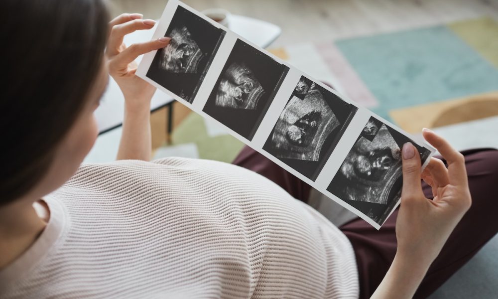 Pandora's box or a Holy Grail for fertility research? Watchdog debates IVGs