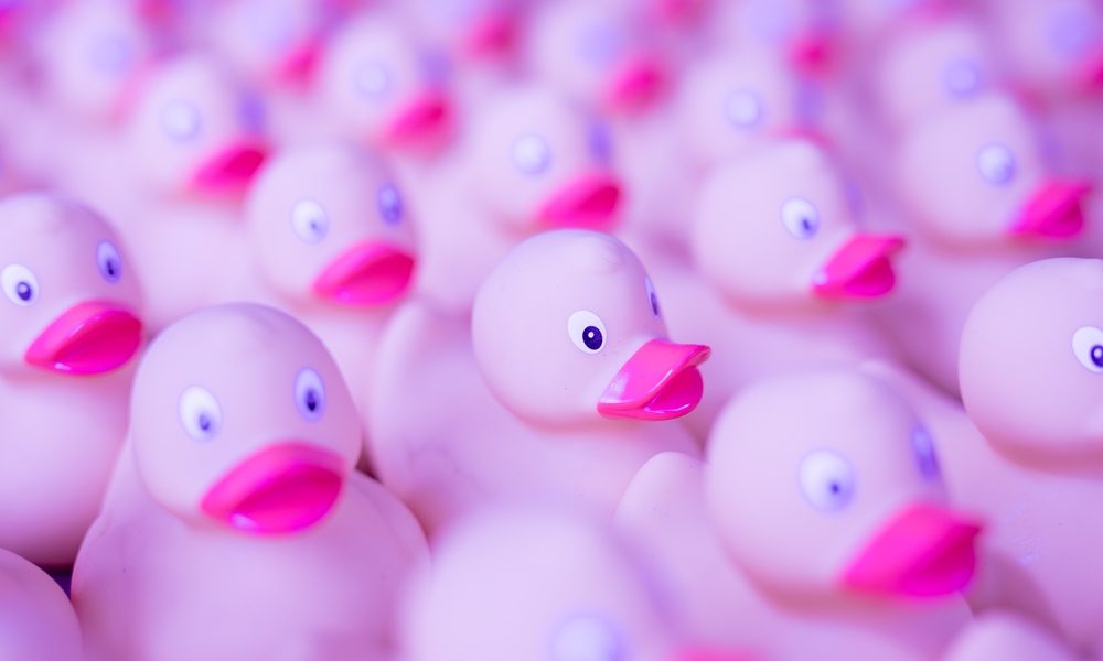 UK's first Pink Duck Race raises thousands for breast cancer