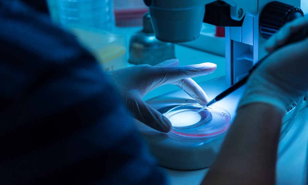 IVF device developers secure £3.5m investment